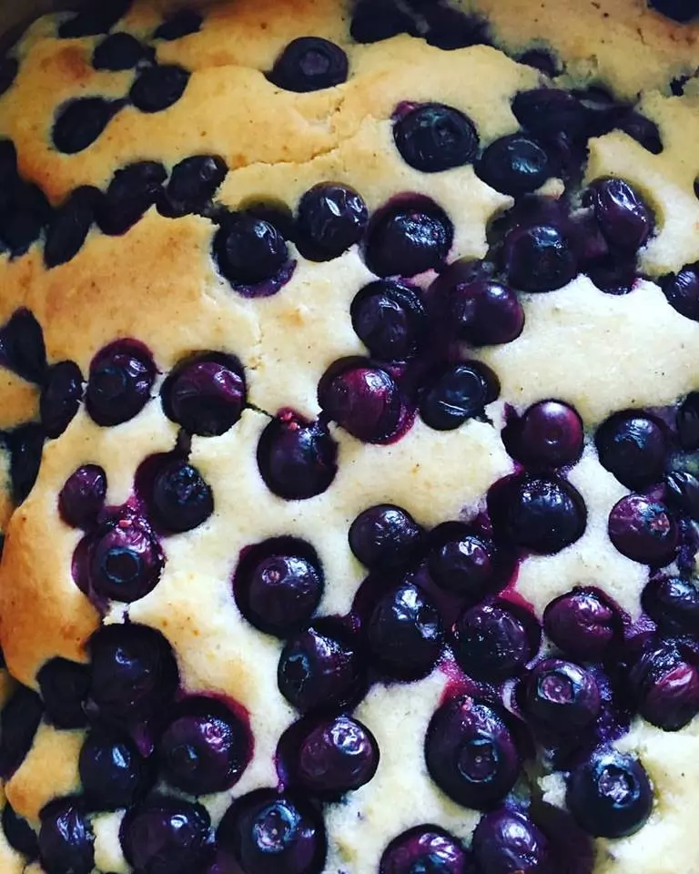 Jogurtovo pecivo z borovnicami / Blog | Blog - Malinca.si