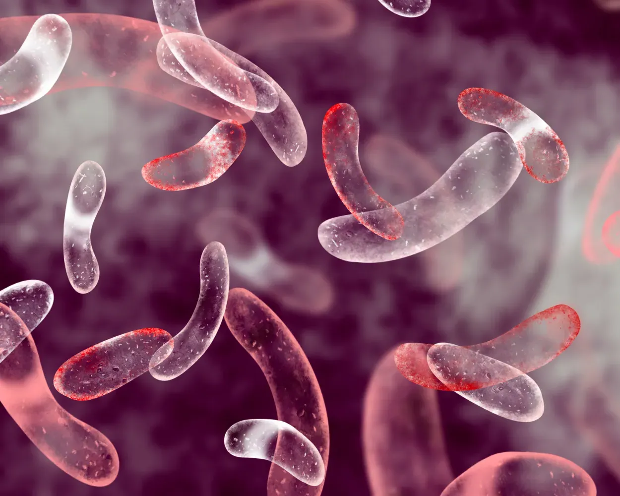 Probava: zašto je zdrava crijevna flora temelj dobrog osjećaja | Malinca.hr